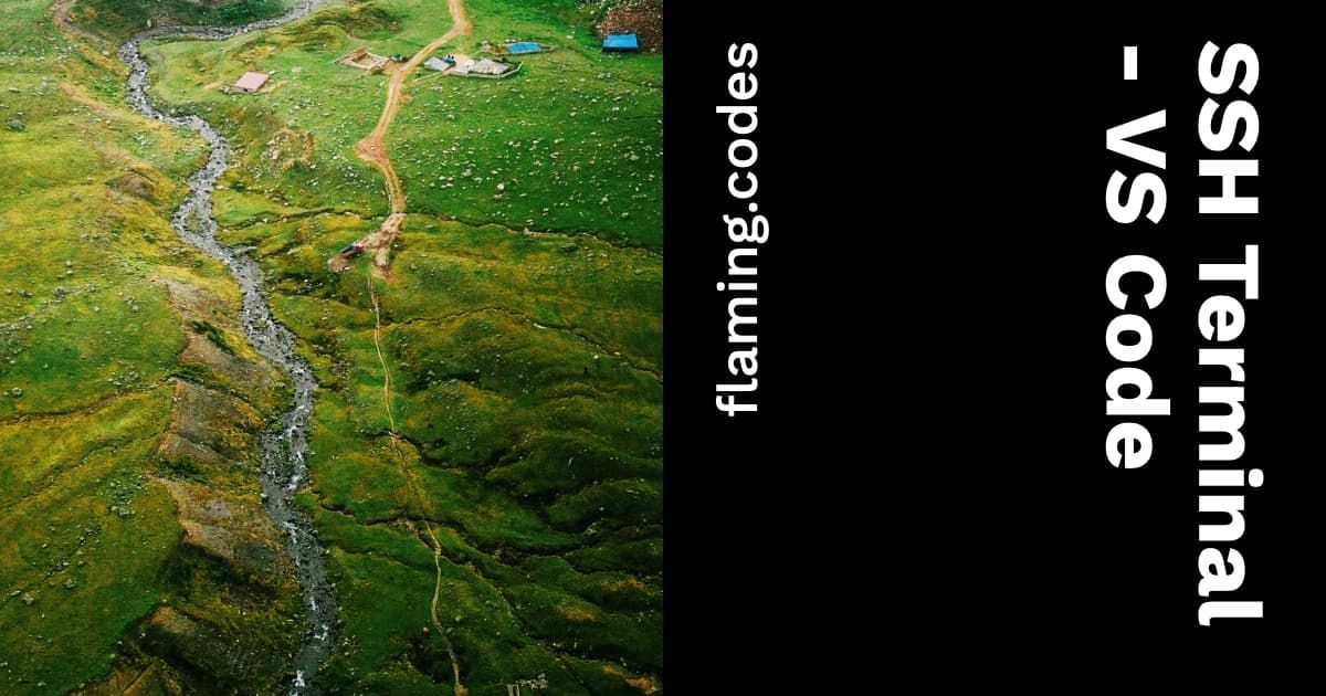 VS Code is the most powerful SSH-terminal | flaming.codes